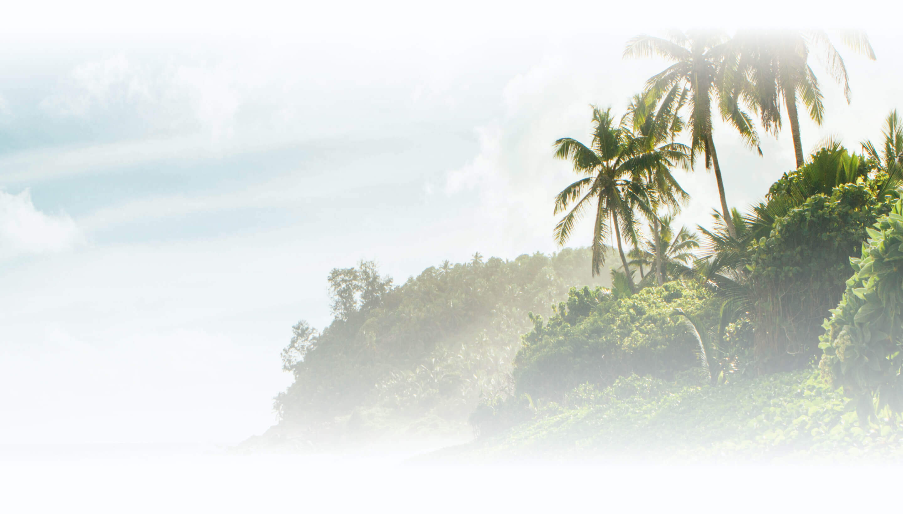 KOALA: Timeshare Rental Made Easy. Top Resorts Up To 70% Off